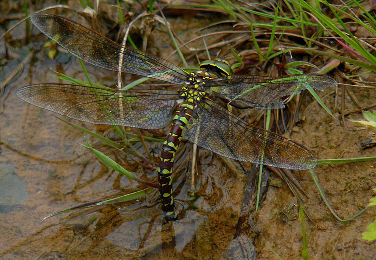 August Sightings and News