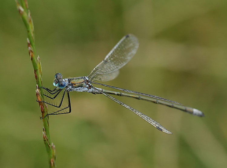September 2011 Sightings and News