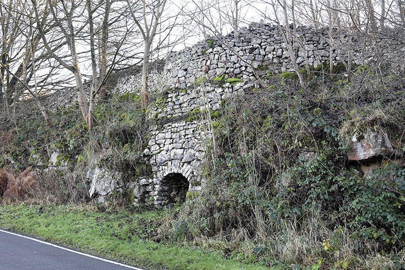 Hartington Station limekiln