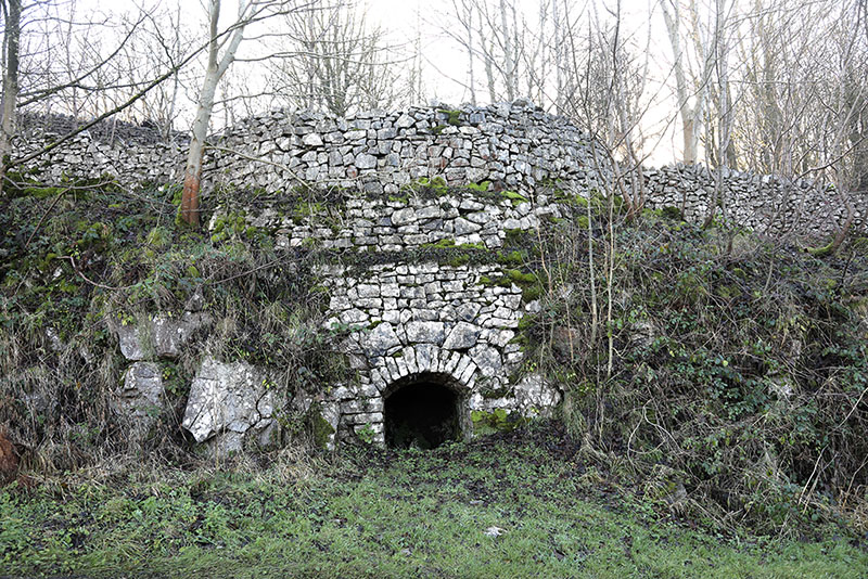 Hartington Station limekiln