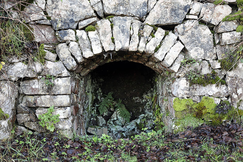 Hartington Station limekiln