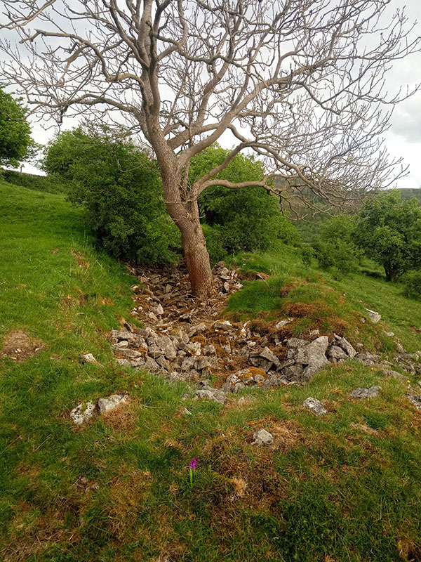 Monks Dale pye kiln