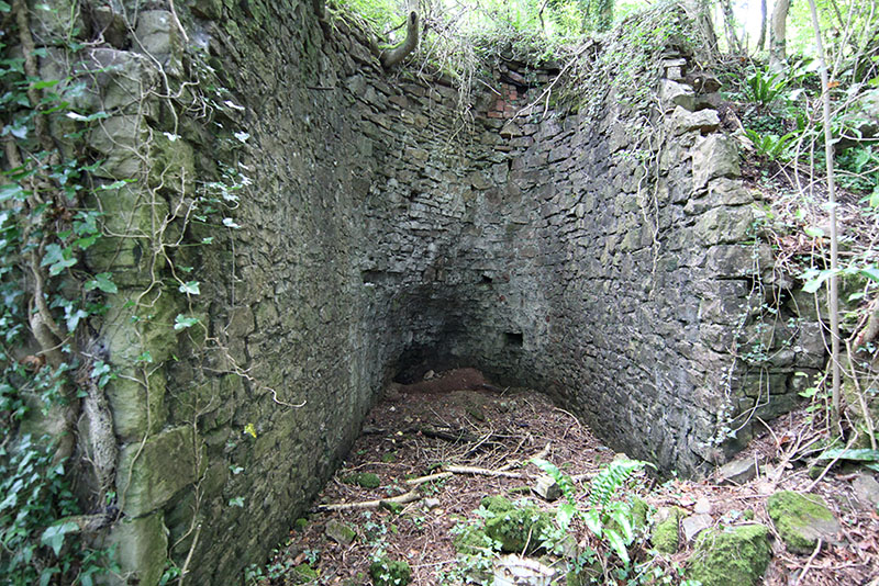 Gelli Quarry kiln
