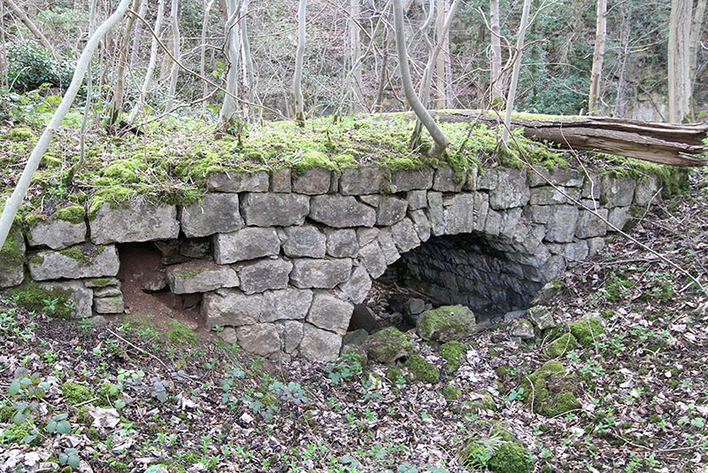 Hawks Wood Limekiln 3