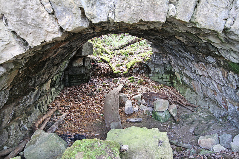 Hawks Wood Limekiln 3