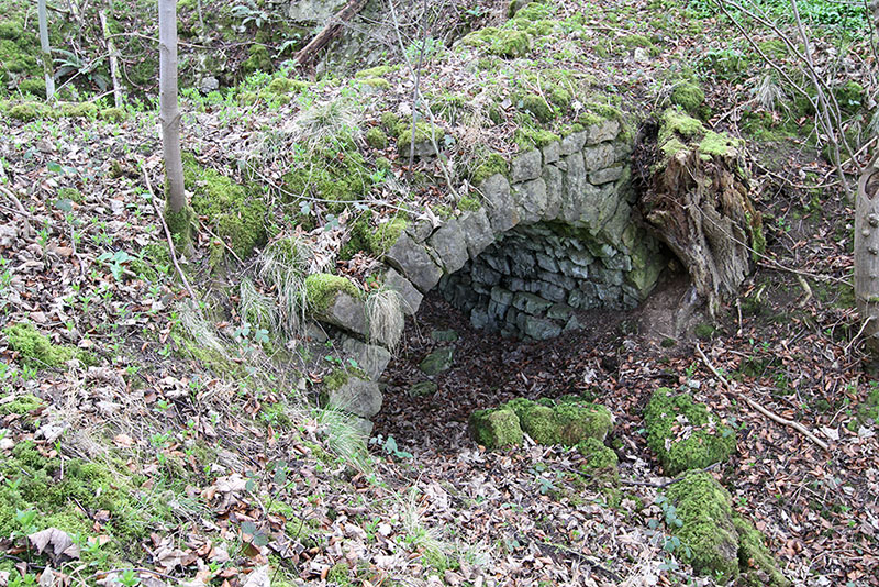 Hawks Wood Limekiln 4