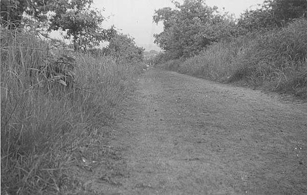 Poynton Colliery Railway: after closure